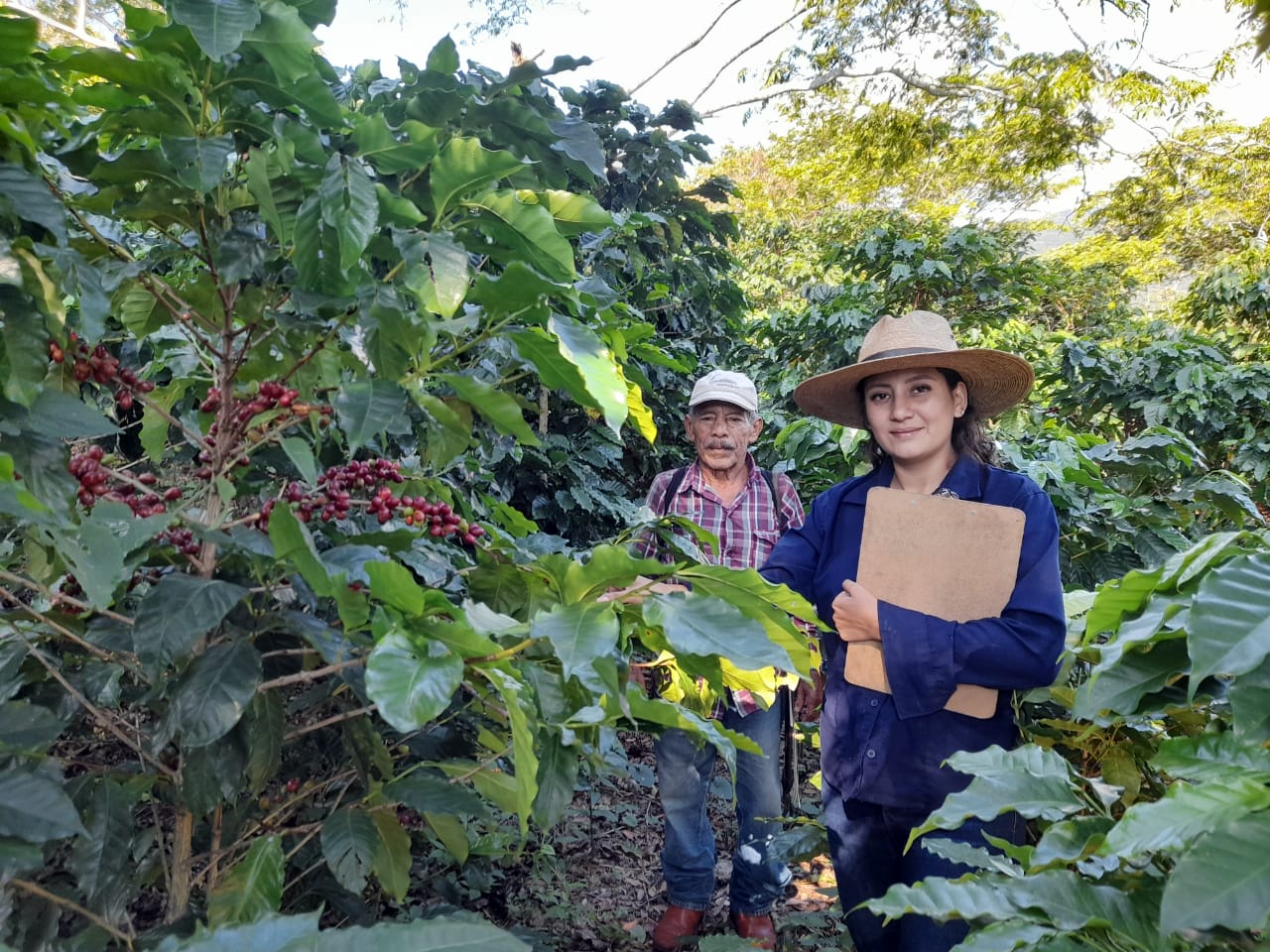 Ministerio de Agricultura y Ganadería