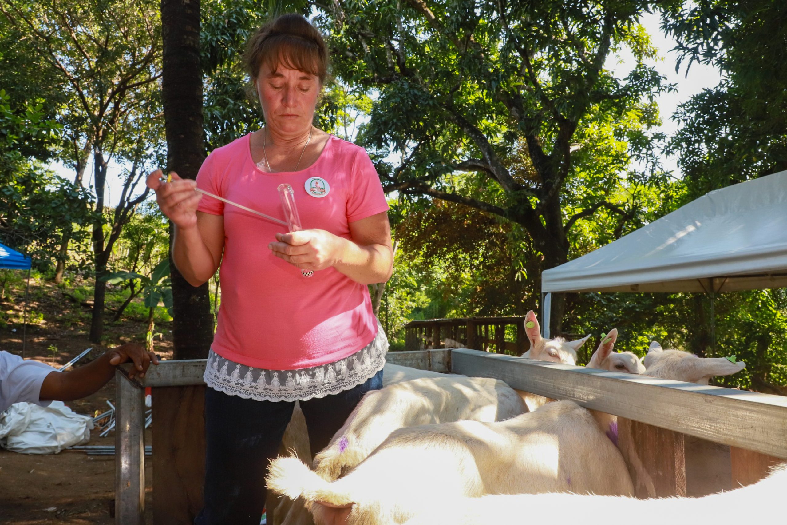 Ministerio de Agricultura y Ganadería
